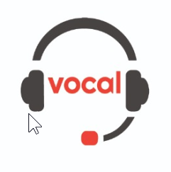 Dashboard vocal.ro